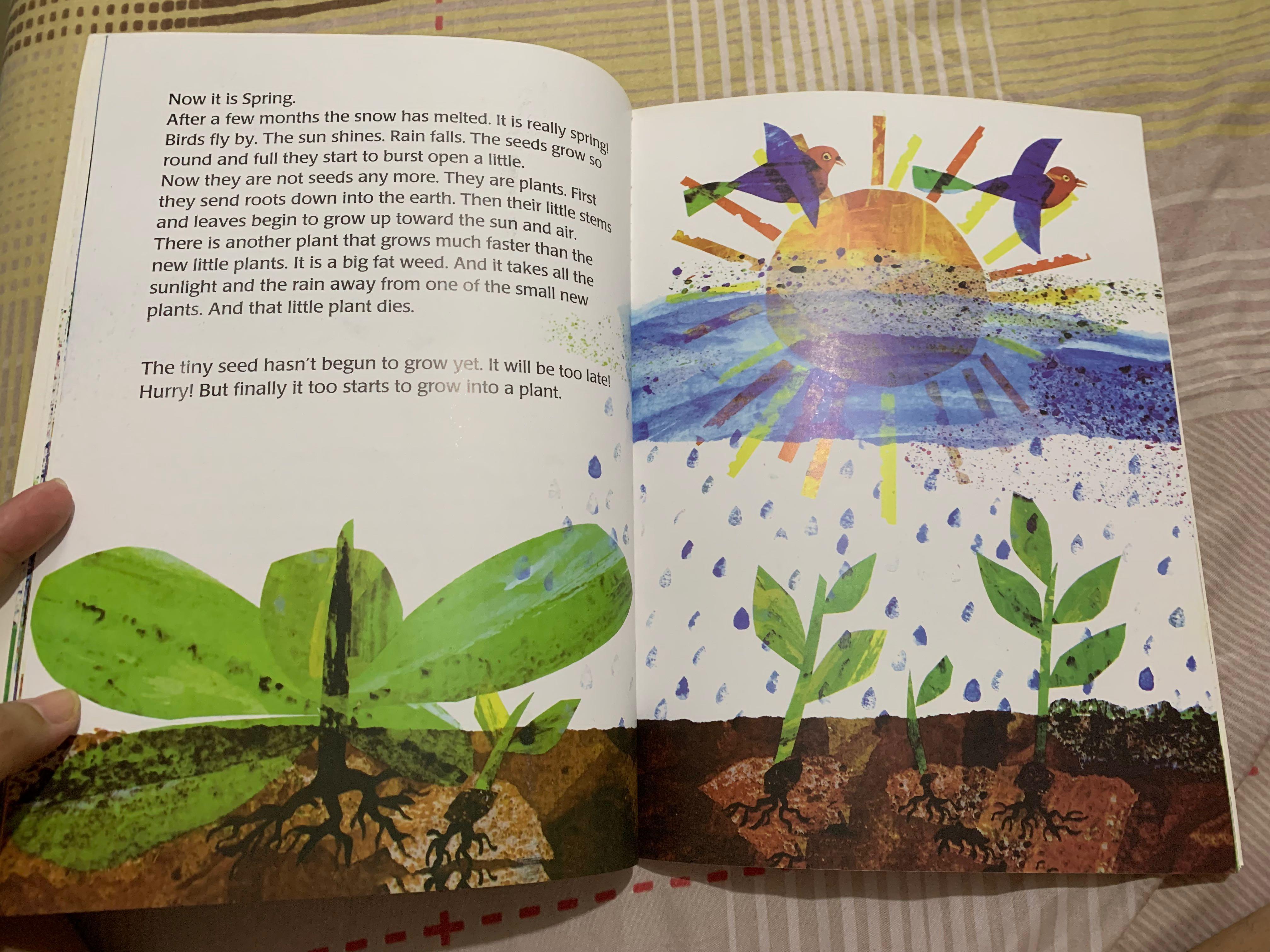The Tiny Seed by Eric Carle, Hobbies & Toys, Books & Magazines ...