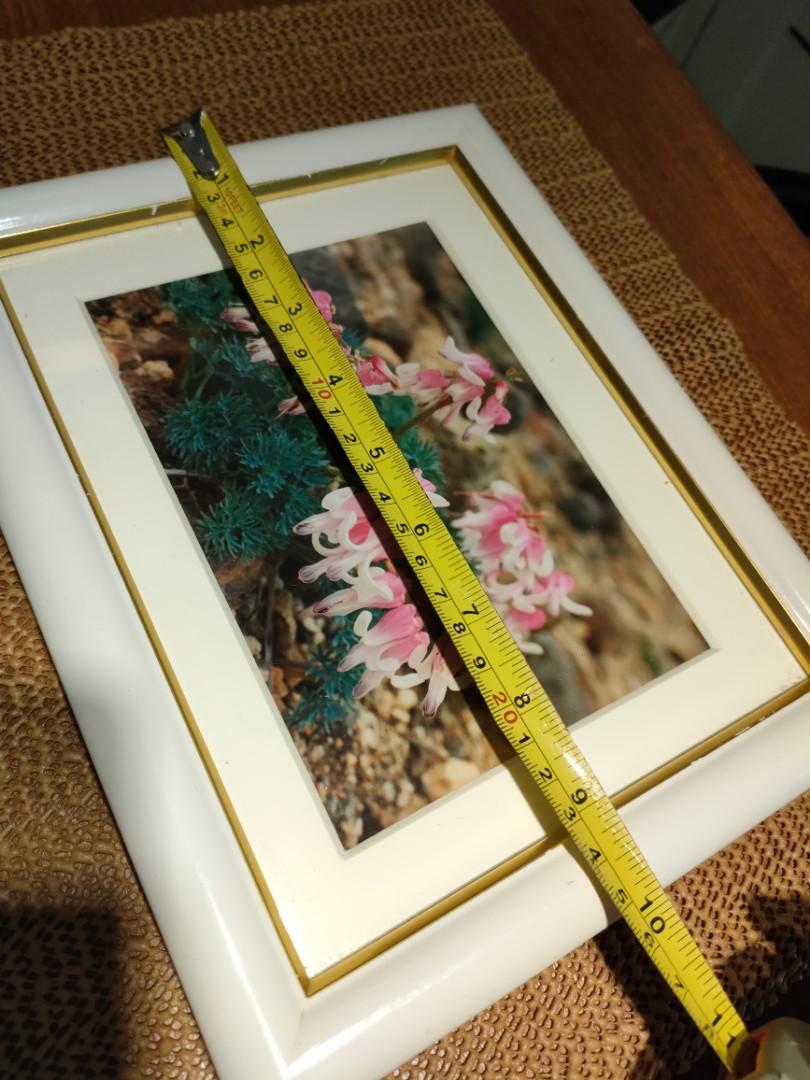 Bleeding Heart Display Frame, Furniture & Home Living, Home Decor ...