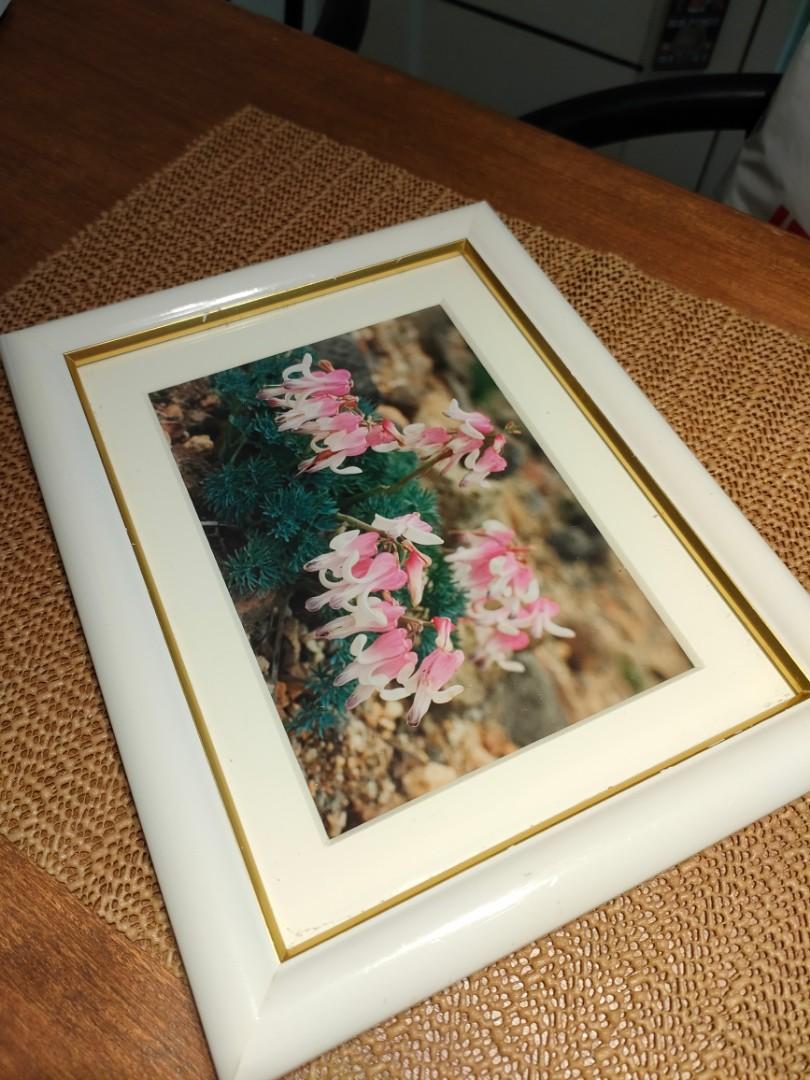 Bleeding Heart Display Frame, Furniture & Home Living, Home Decor ...