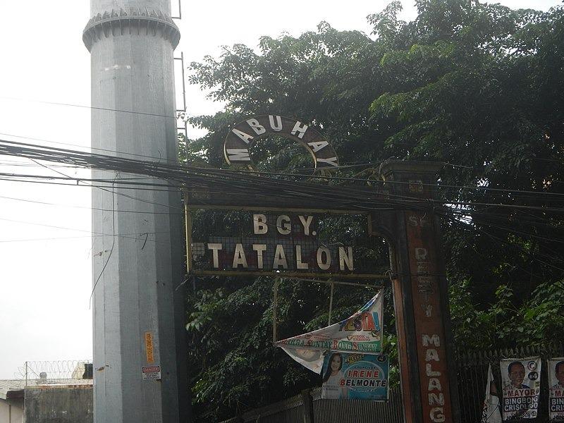Kaliraya Brgy. Tatalon Quezon city, Property, For Sale, Lot on Carousell