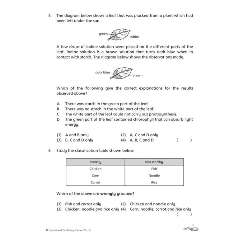 Primary 6 Science Topical Class Tests/Primary 6 Science Assessment Book ...