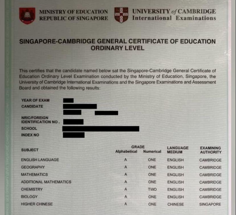 PSLE English 1 to 1 private tutoring services 2023, Learning ...