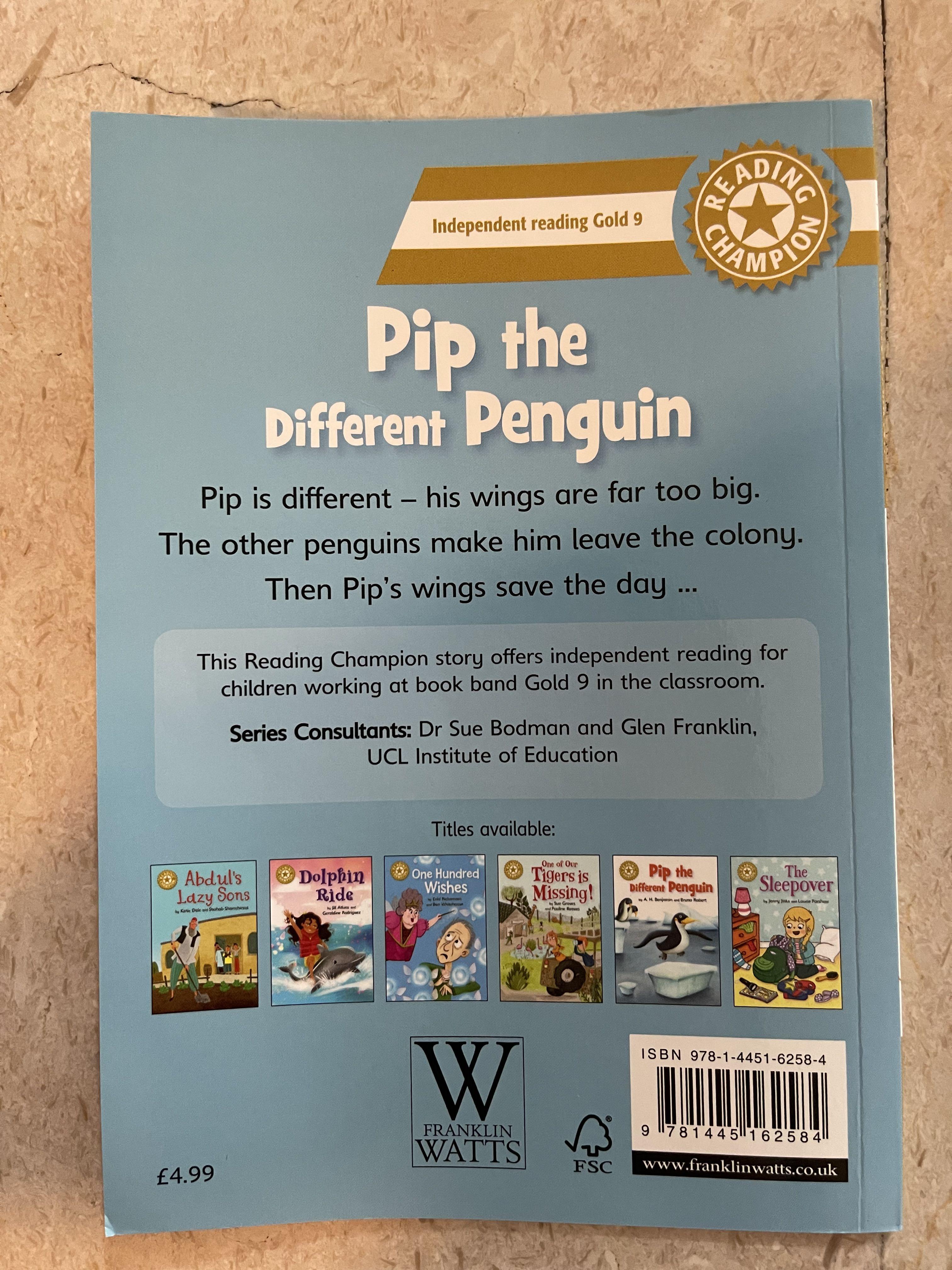 Reading Champion - independent reading (12 books,aged5-7), Hobbies ...