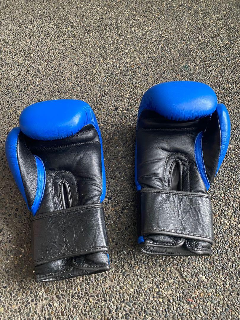 Titans Pro Competition Boxing Gloves (12oz), Sports Equipment, Sports ...