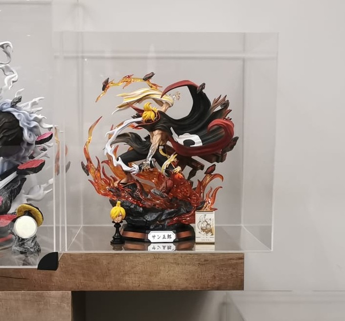 Acrylic display case (One Piece), Hobbies & Toys, Toys & Games on Carousell