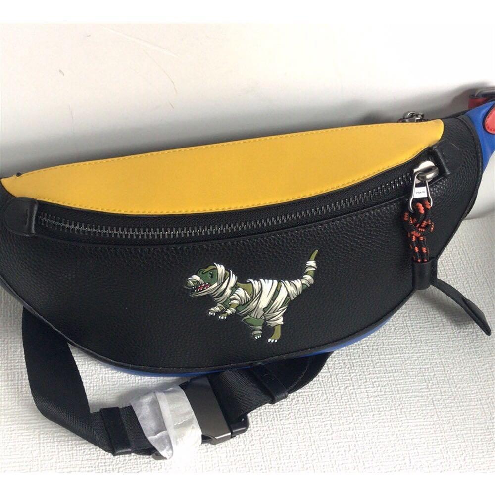 Coach League Belt Waist Mummified Rexy Unisex Crossbody, Women's ...