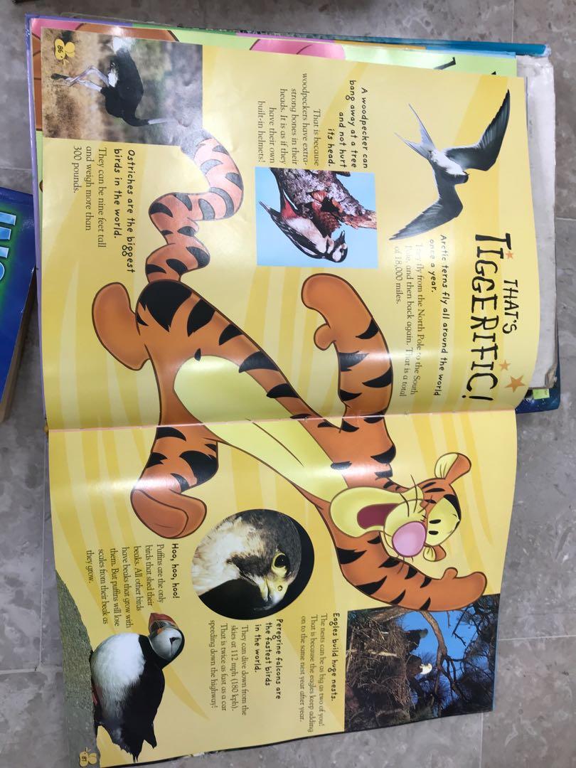 Encyclopedia for young readers, Hobbies & Toys, Books & Magazines ...