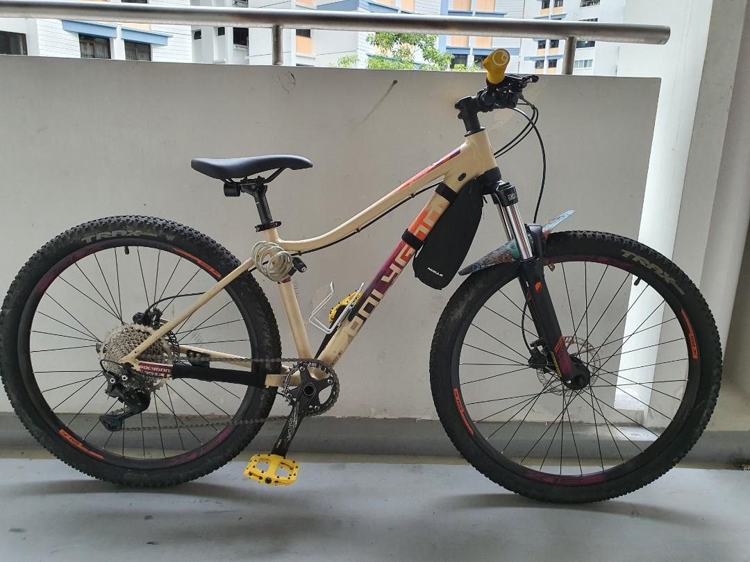 Polygon Cleo, Sports Equipment, Bicycles & Parts, Bicycles on Carousell