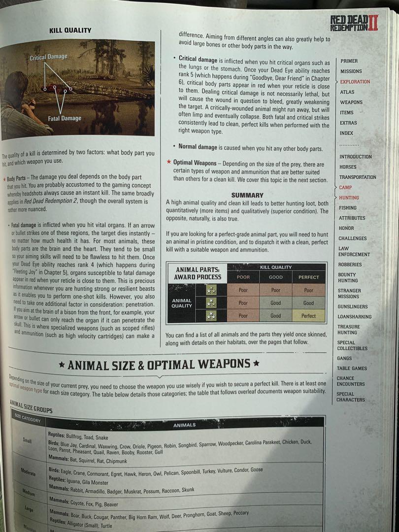 Red Dead Redemption 2 Complete Guide Book, Video Gaming, Gaming ...