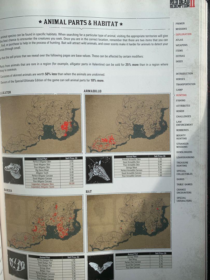 Red Dead Redemption 2 Complete Guide Book, Video Gaming, Gaming ...