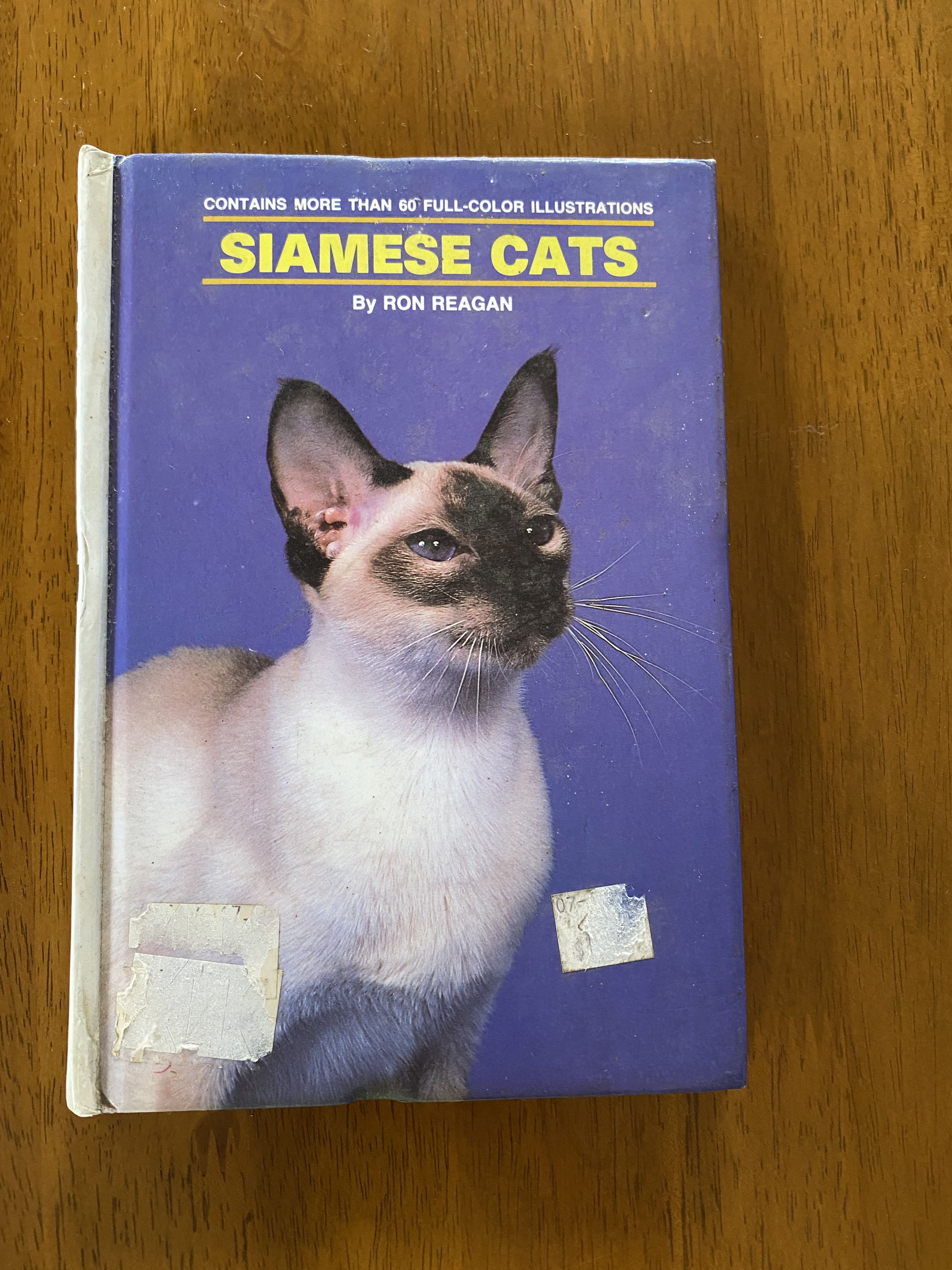 Siamese Cats, Hobbies & Toys, Books & Magazines, Fiction & Non-Fiction ...