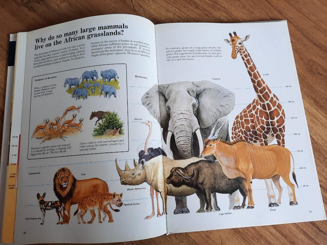 Encyclopedia Set - Illustrated Encyclopedia of Science and Nature ...