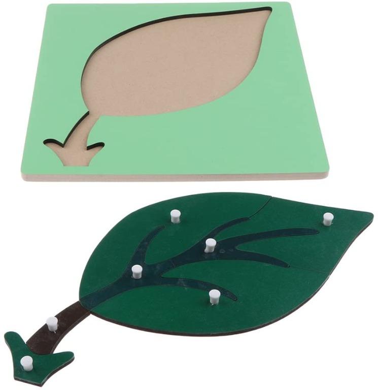 Montessori Wooden Botany - Knobbed Parts of a Flower / Leaf / tree ...