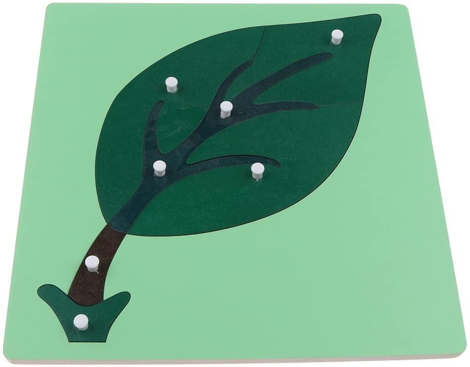 Montessori Wooden Botany - Knobbed Parts of a Flower / Leaf / tree ...