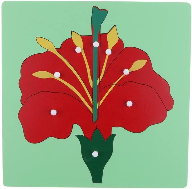 Montessori Wooden Botany - Knobbed Parts of a Flower / Leaf / tree ...