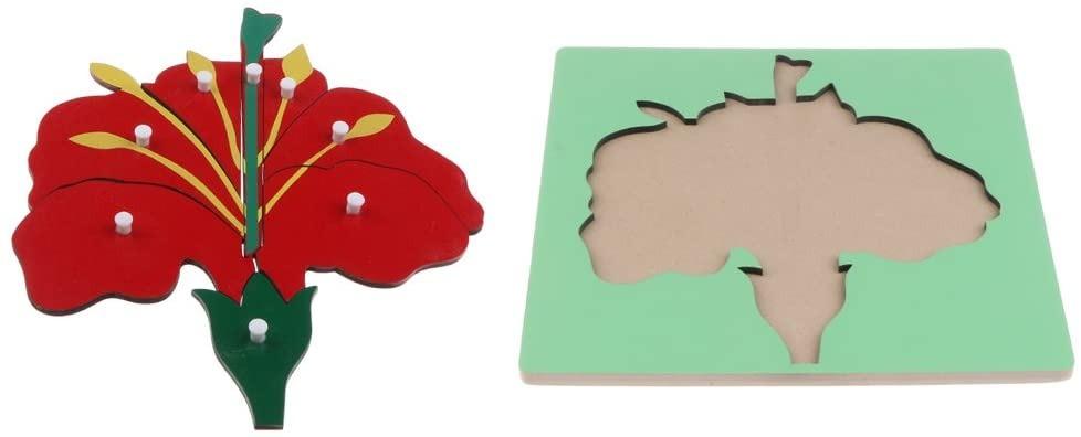Montessori Wooden Botany - Knobbed Parts of a Flower / Leaf / tree ...