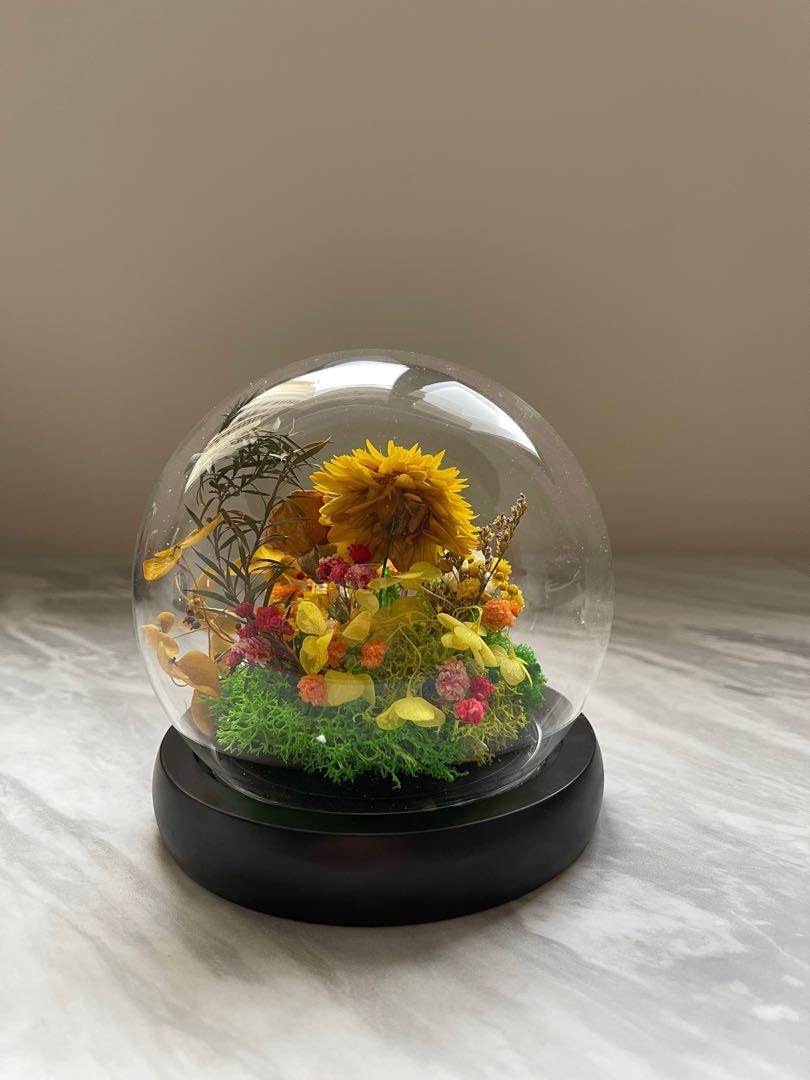 Preserved Flower Dome (Sunflower and Rose), Hobbies & Toys, Stationery ...