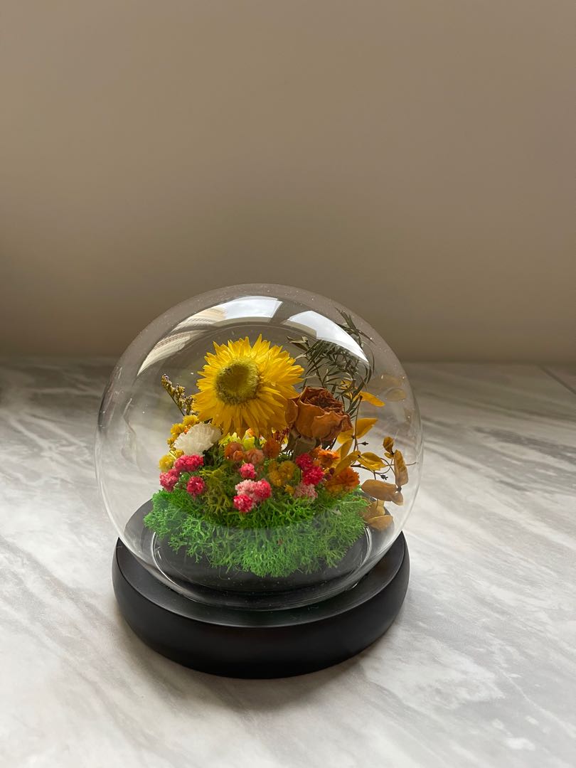 Preserved Flower Dome (Sunflower and Rose), Hobbies & Toys, Stationery ...