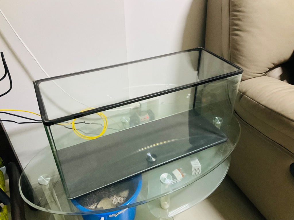 60cm Curve Glass Fish Tank + Free Gravel, Pet Supplies, Homes & Other ...