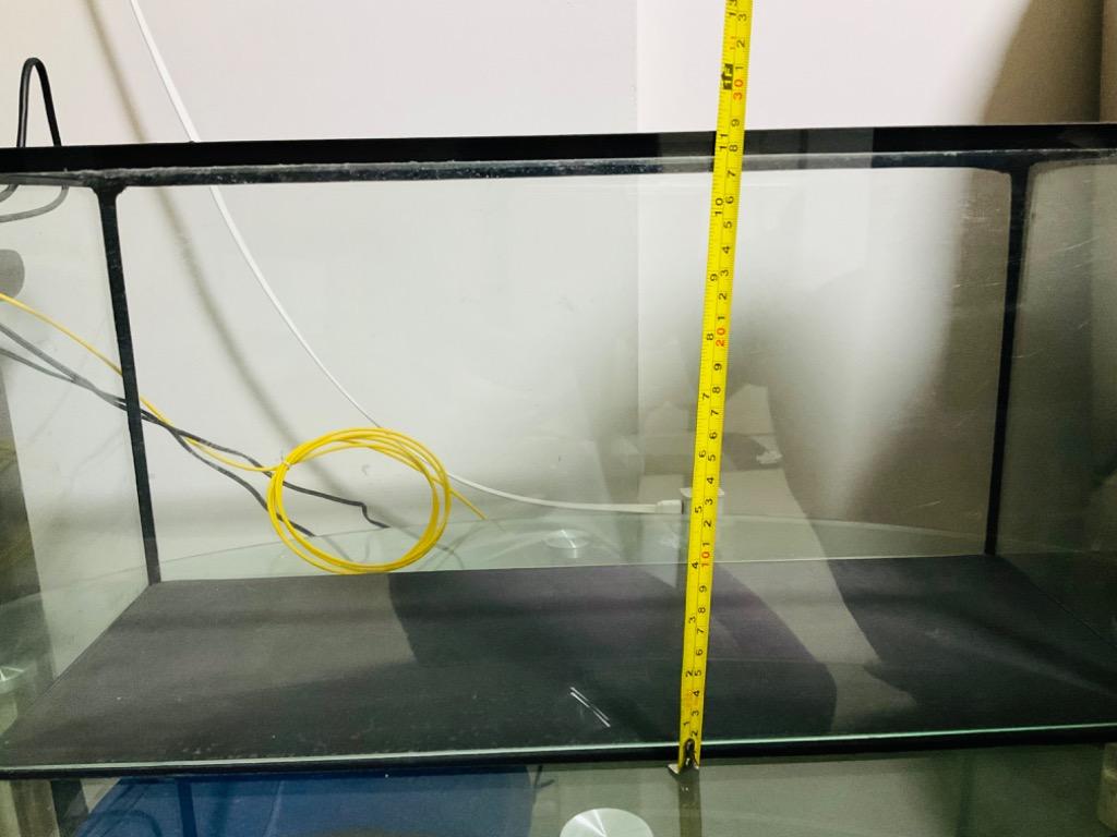 60cm Curve Glass Fish Tank + Free Gravel, Pet Supplies, Homes & Other ...