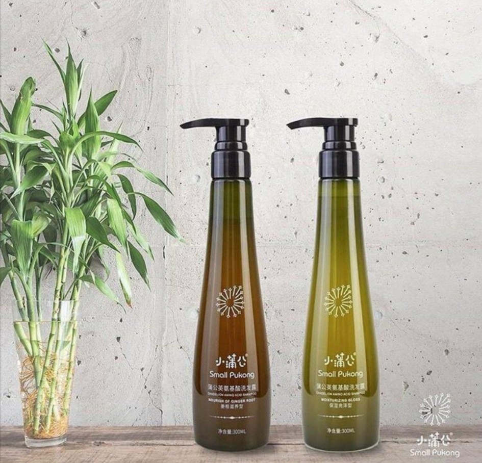 Dandelion Amino Acid Shampoo with Ginger Root & Daily Treatment Hair ...