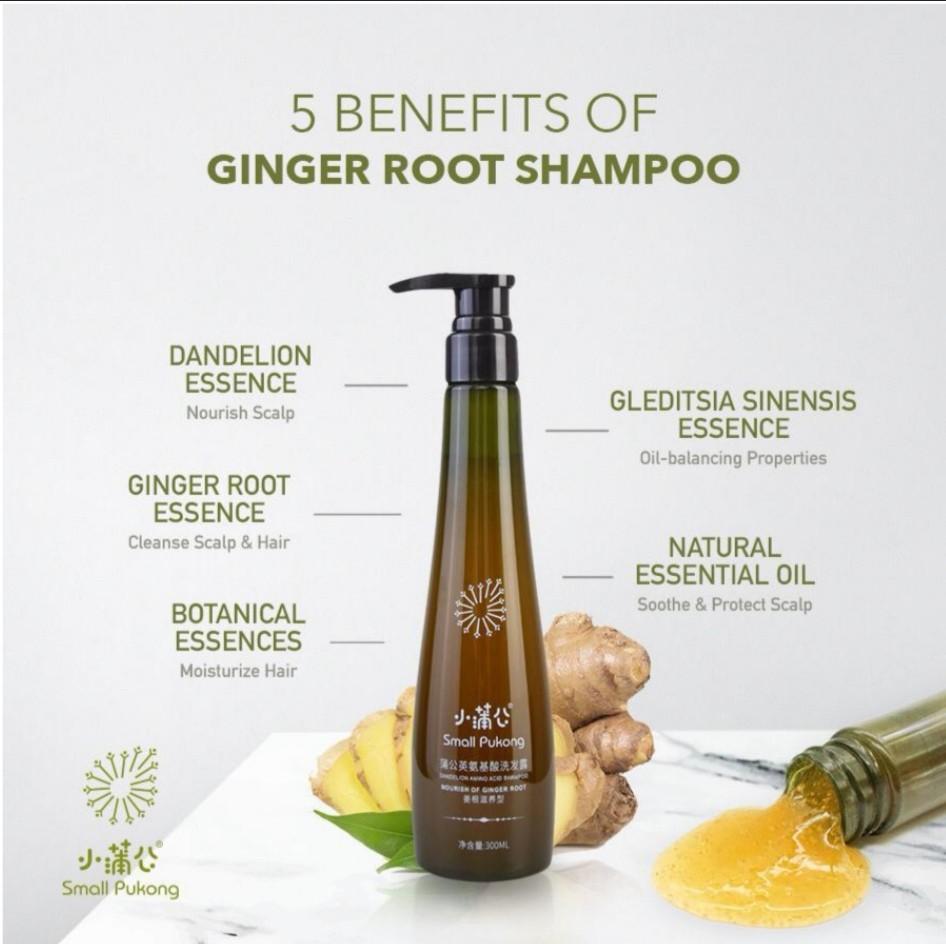 Dandelion Amino Acid Shampoo with Ginger Root & Daily Treatment Hair ...