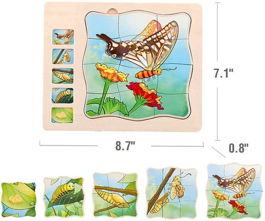 Multi Layered Butterfly Growth Life Cycle Wooden Puzzle, Hobbies & Toys ...