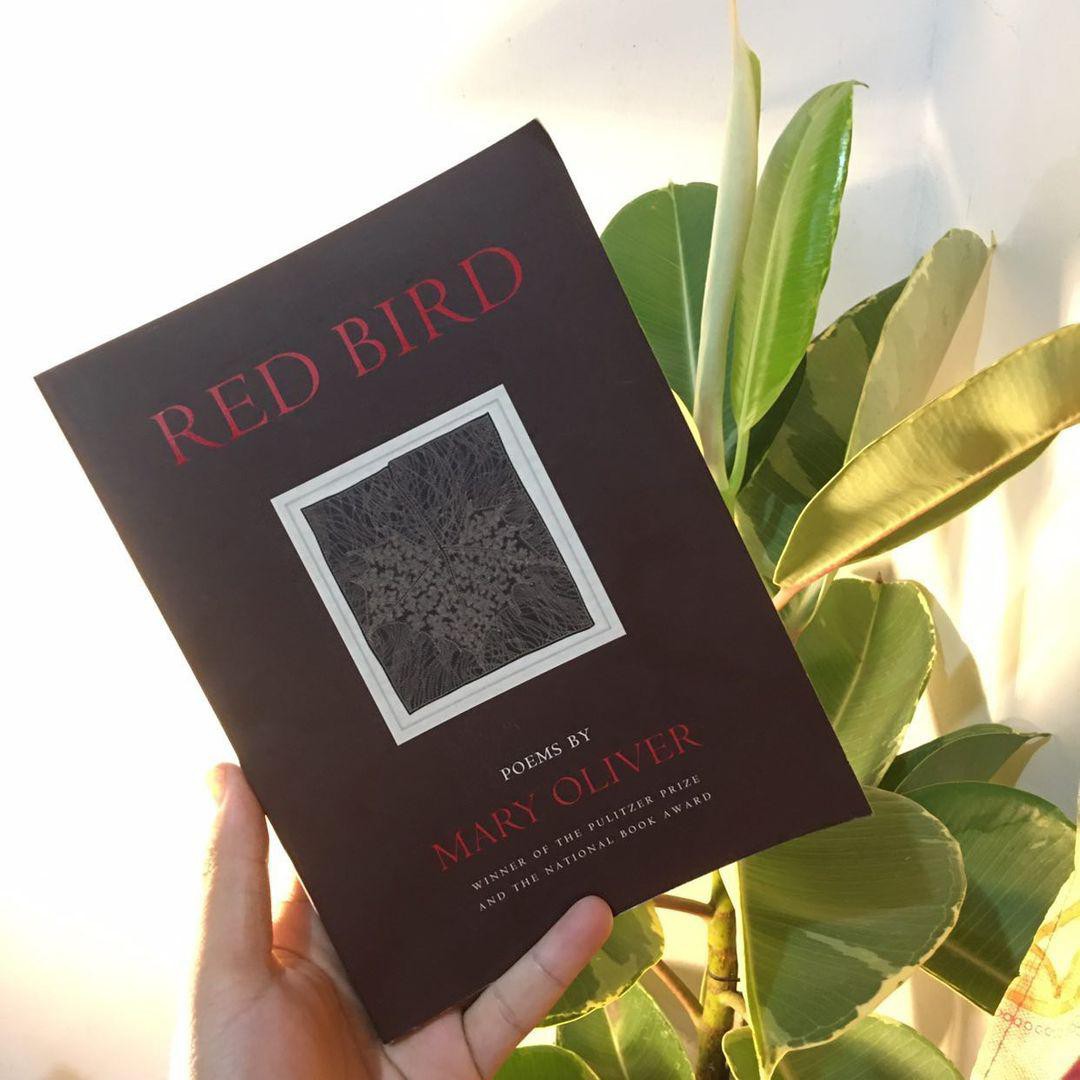 Red Bird: Poems by Mary Oliver, Hobbies & Toys, Books & Magazines ...
