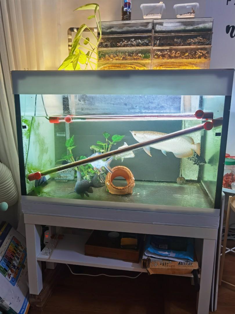3 feet fish tank and stand, Pet Supplies, Homes & Other Pet Accessories ...