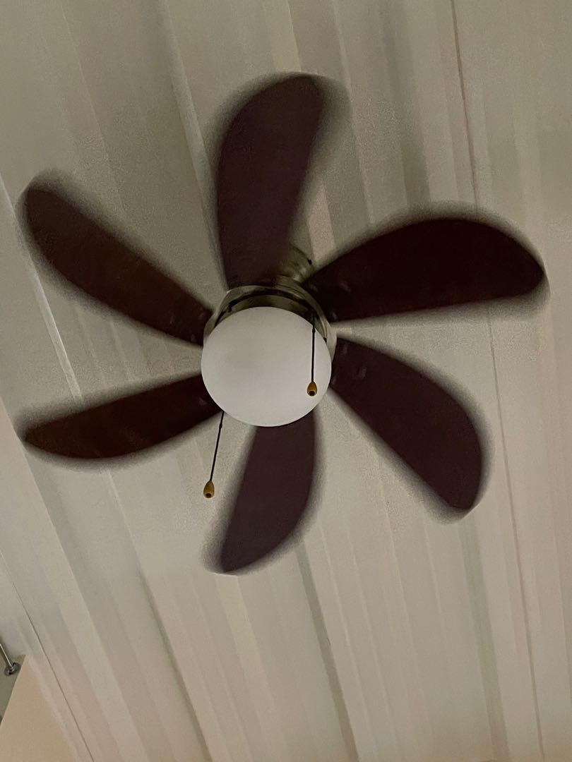 Ceiling fan with lighting 30inches , Furniture & Home Living, Lighting ...