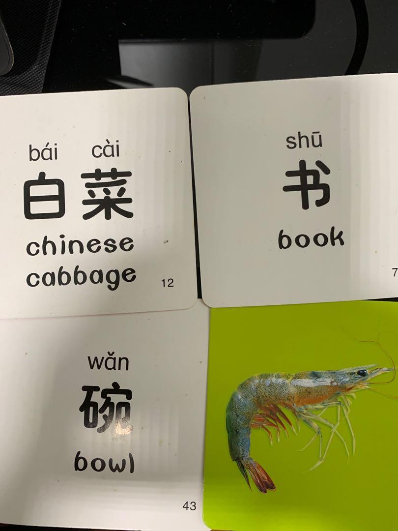 Set of 108 Chinese-English flash cards, Babies & Kids, Infant Playtime ...