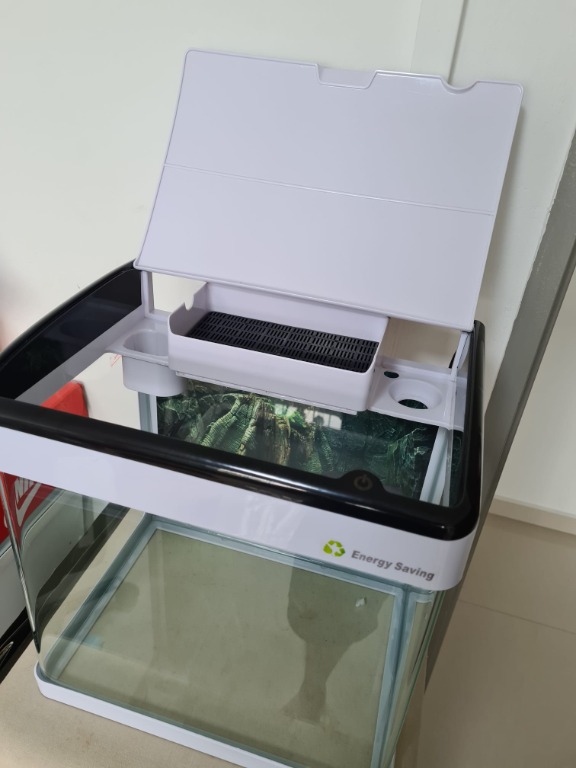 Classica Aquacurv 320 - 19L curved glass fish tank, Pet Supplies, Homes ...