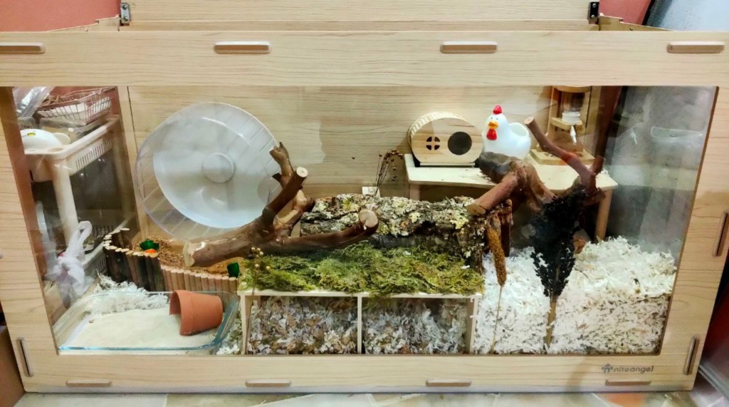 Niteangel Bigger World MDF Cage Enclosure (100x50x50) Size M, Pet ...