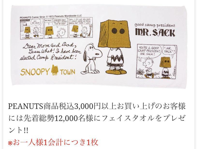 Peanuts - Snoopy and Friends - Mr Sack (limited ed) on Carousell