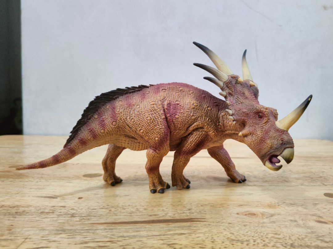 Collecta Styracosaurus, Hobbies & Toys, Toys & Games on Carousell