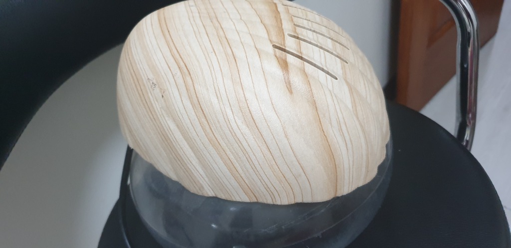 Diffuser Shell Design, Furniture & Home Living, Home Fragrance on Carousell