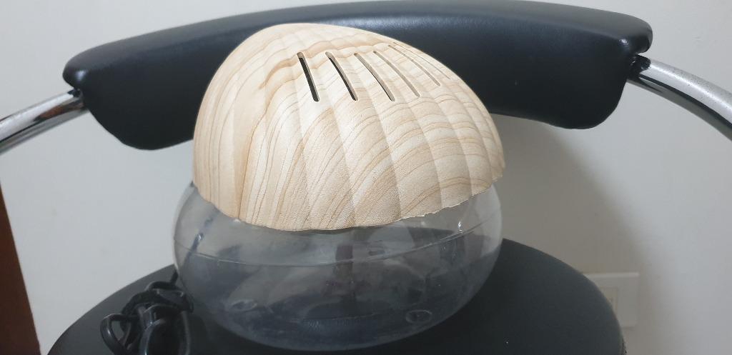 Diffuser Shell Design, Furniture & Home Living, Home Fragrance on Carousell