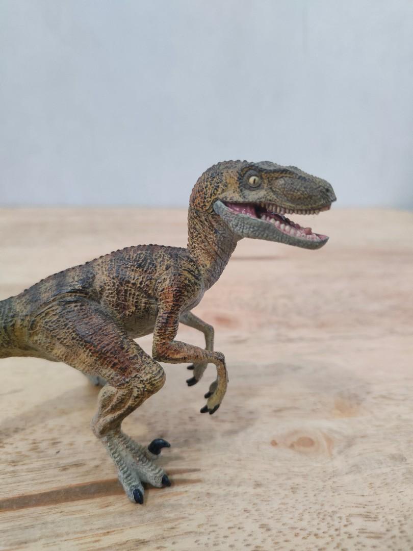 Papo Velociraptor, Hobbies & Toys, Toys & Games on Carousell