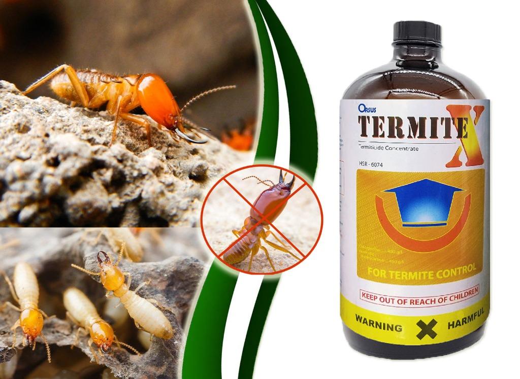 Termite X for Termite Control Pamatay Anay 100ml, 250ml, 1Liter ...