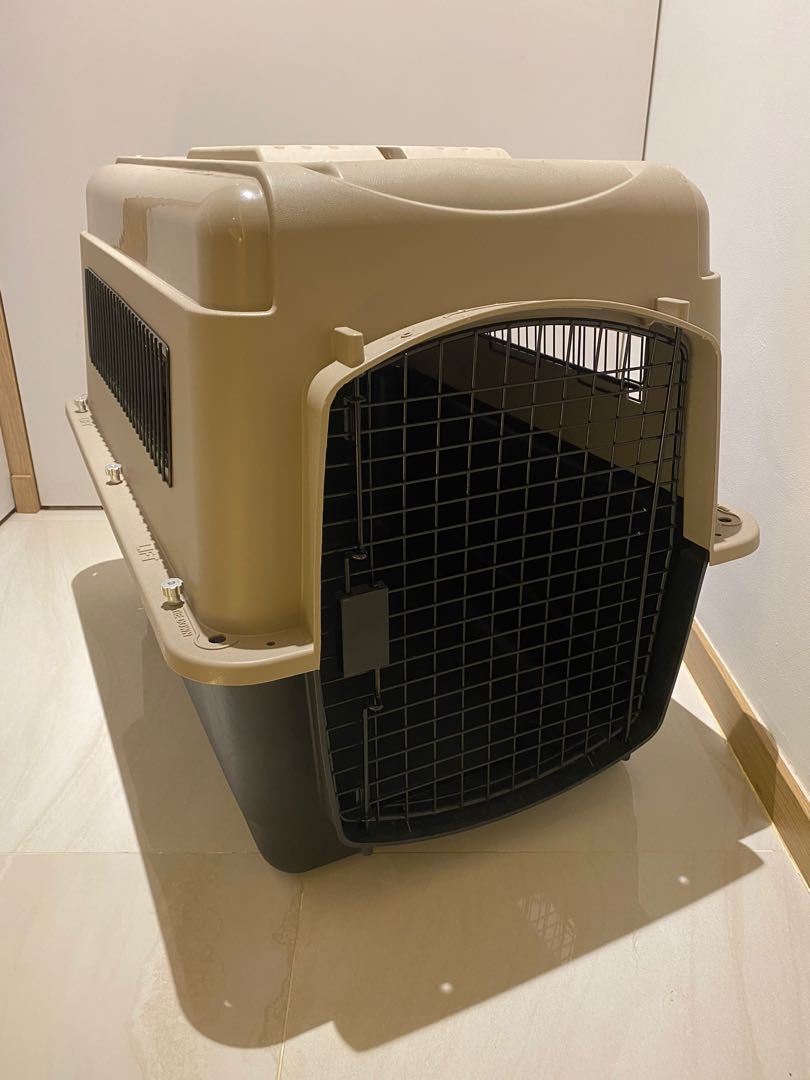 Petmate Vari kennel 32Inch large dog crate, Pet Supplies, Homes & Other ...
