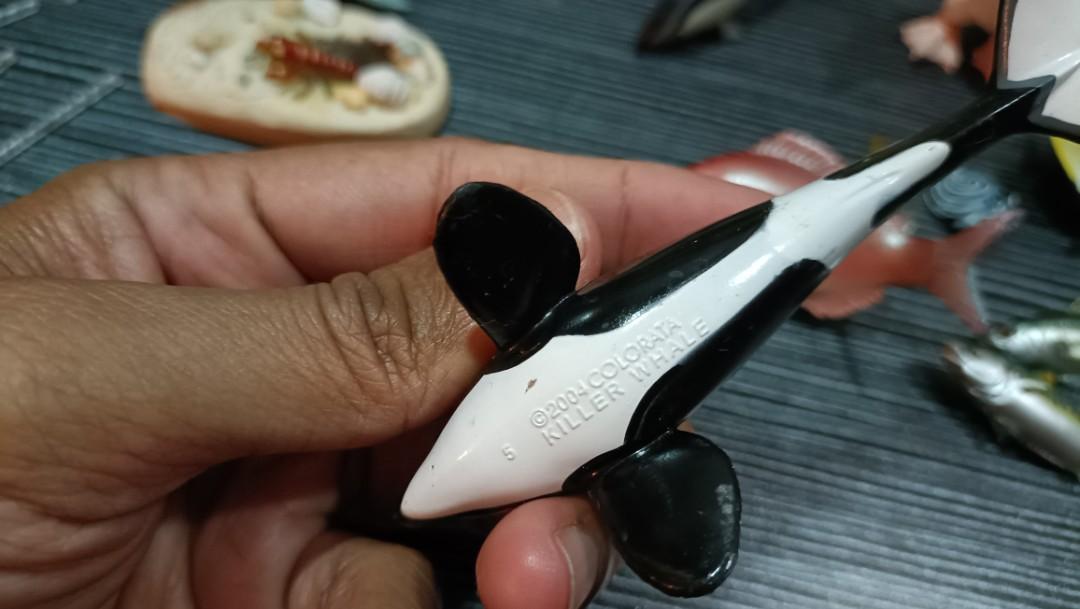 Colorata Sea Animals, Hobbies & Toys, Toys & Games on Carousell