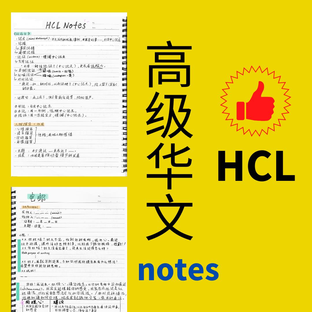 好 HCL CHINESE notes, higher chinese notes, secondary, cheatsheet ready ...