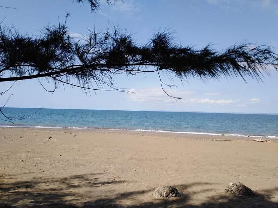 Infanta Quezon resort, Furniture & Home Living, Bedding & Towels on ...