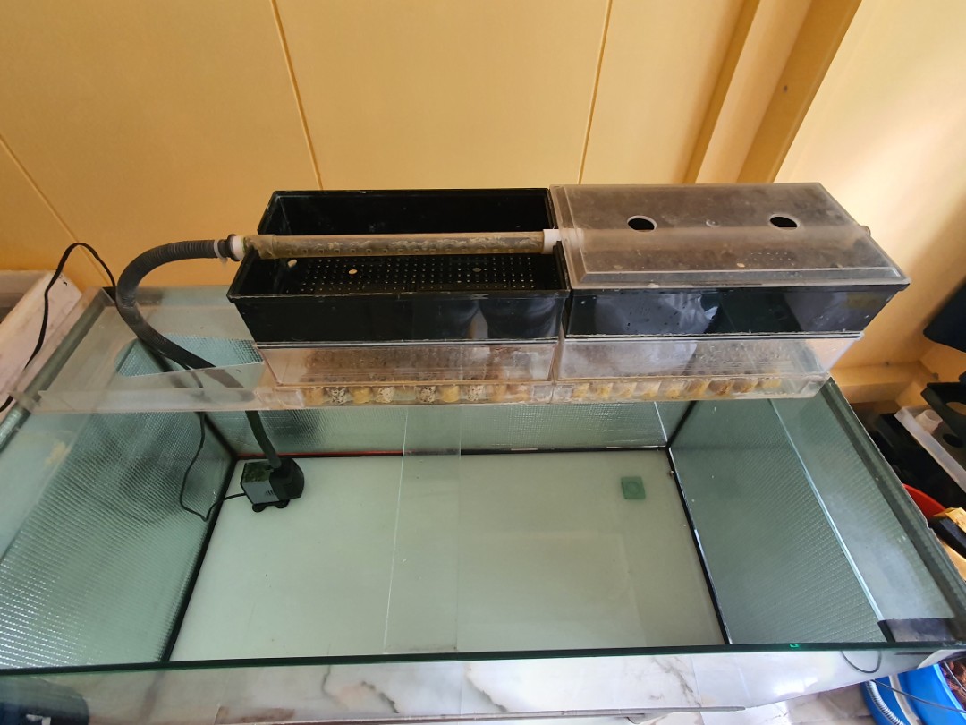 Plug and play 3ft fish tank, Pet Supplies, Homes & Other Pet ...
