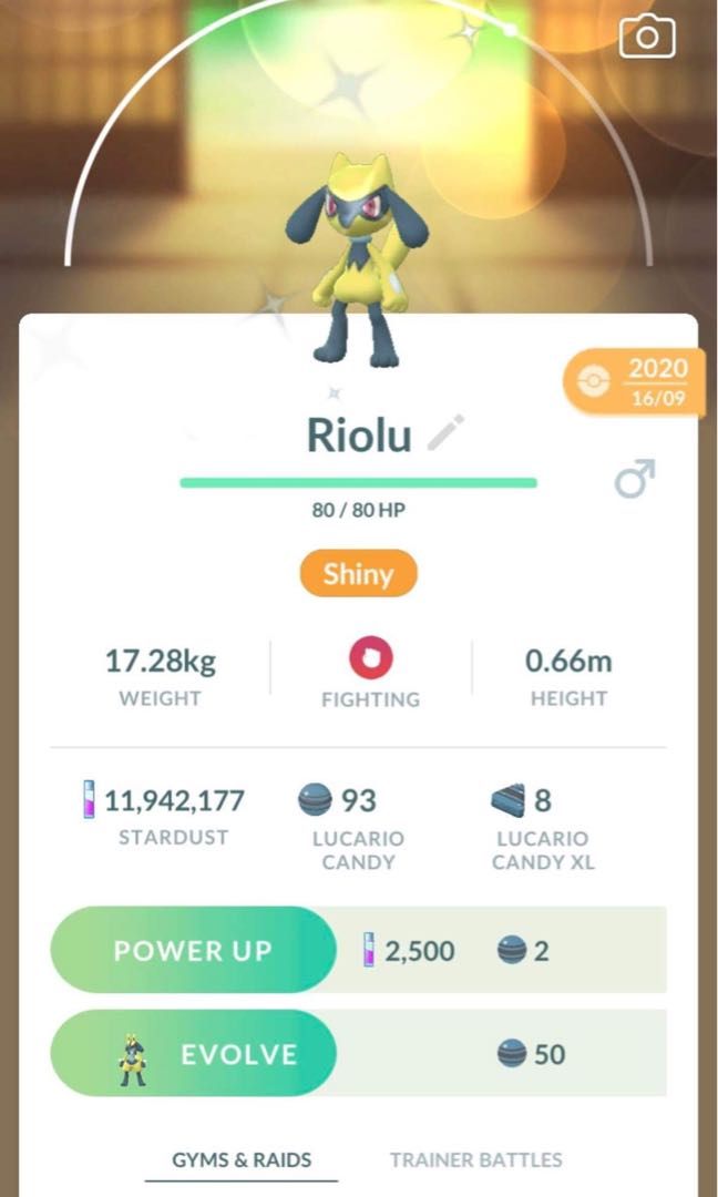 Shiny riolu Pokemon Go, Hobbies & Toys, Toys & Games on Carousell