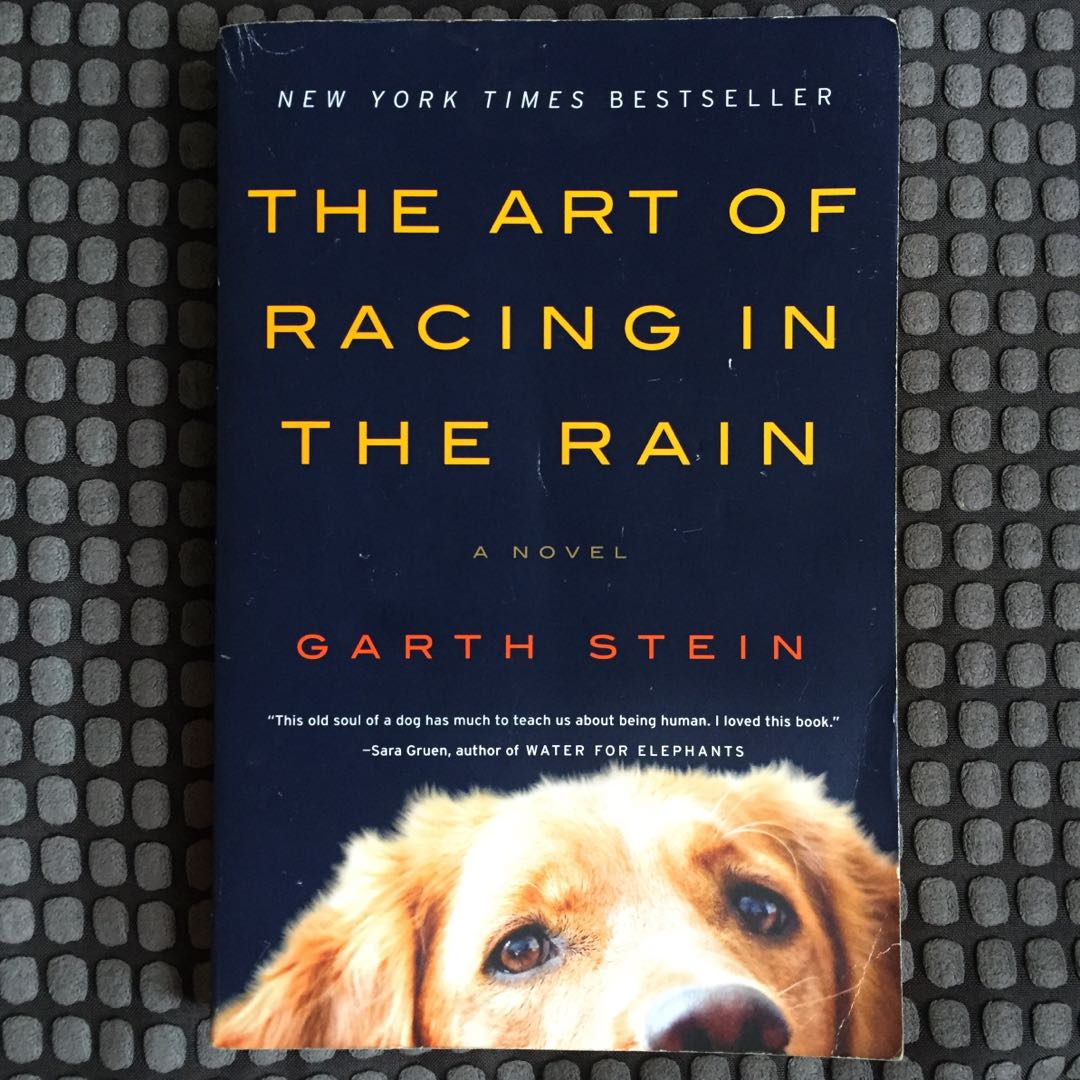 The Art of Racing in the Rain, Garth Stein, Hobbies & Toys, Books ...
