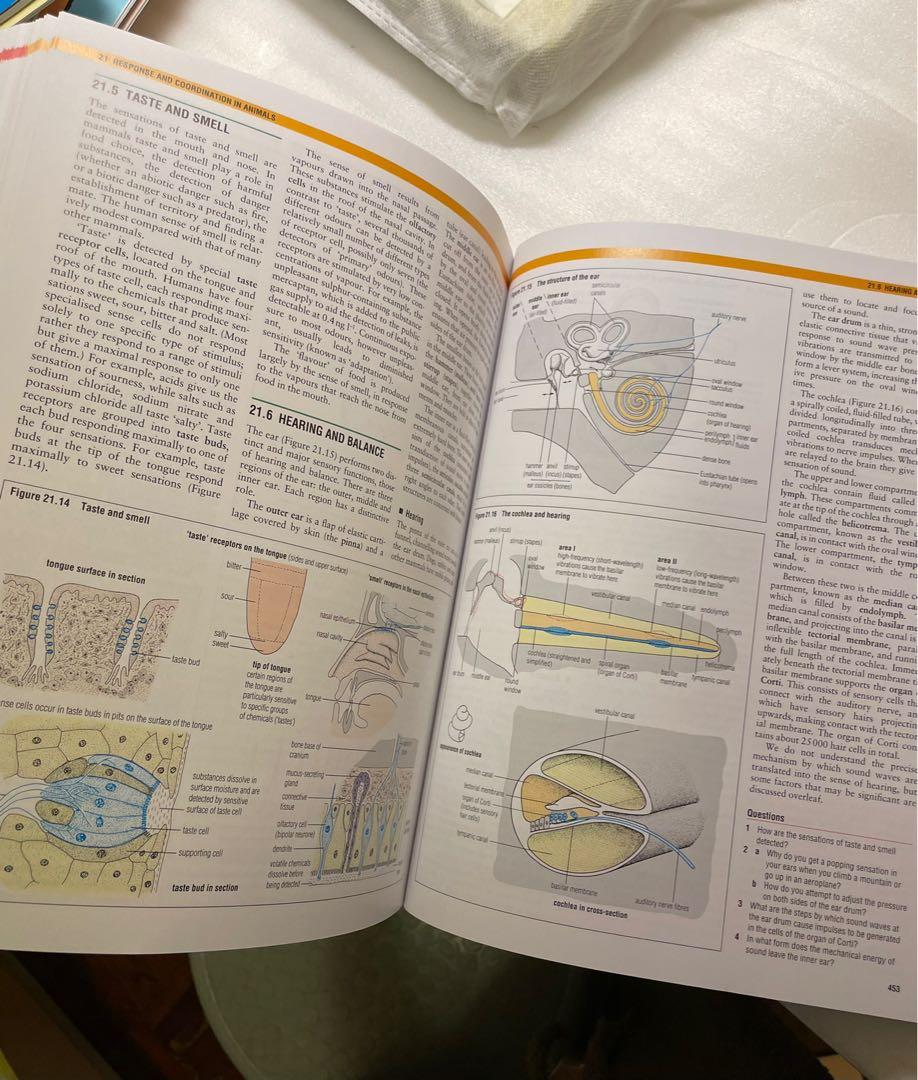 Advanced Biology Principles & Applications - Bio textbook for DSE / IB ...