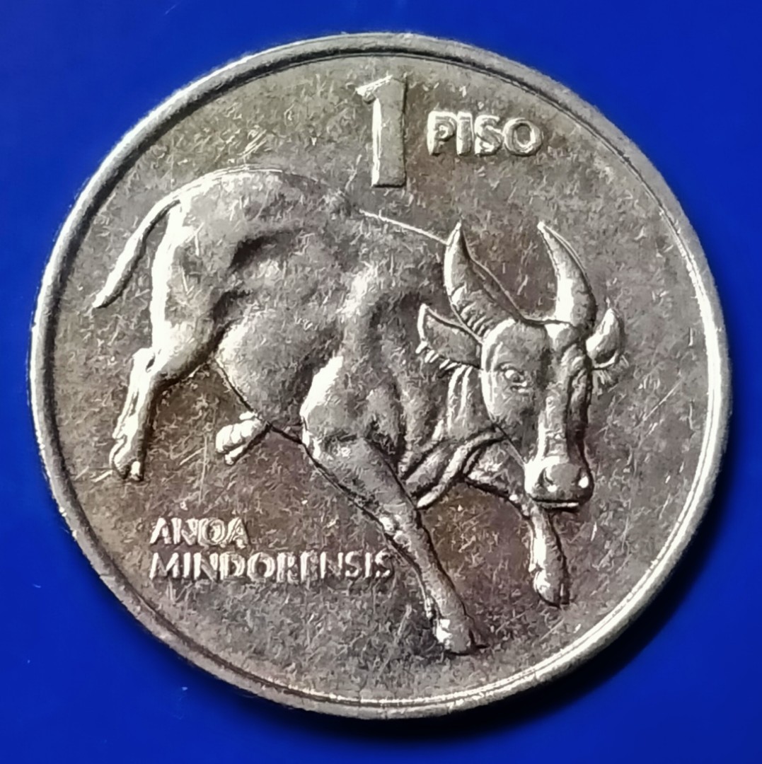 Error coins : 1993 Republika ng Pilipinas 1 Piso old coin Xf condition ...