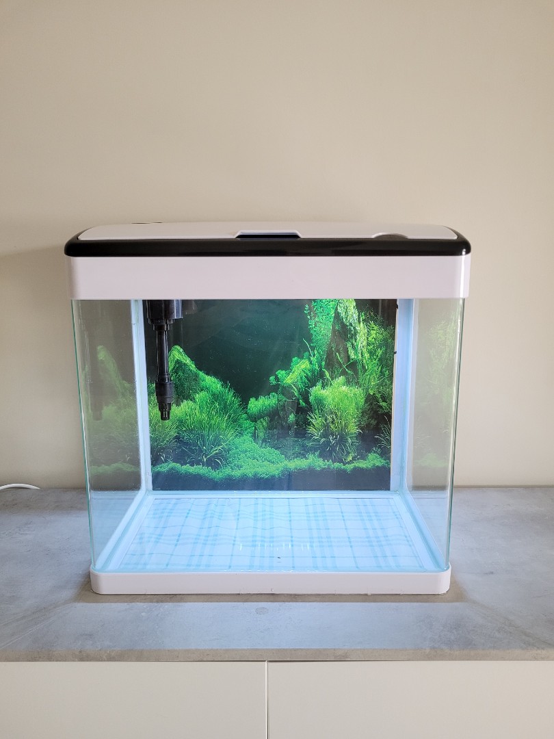 Fish Tank - All In One Set, Everything Else on Carousell
