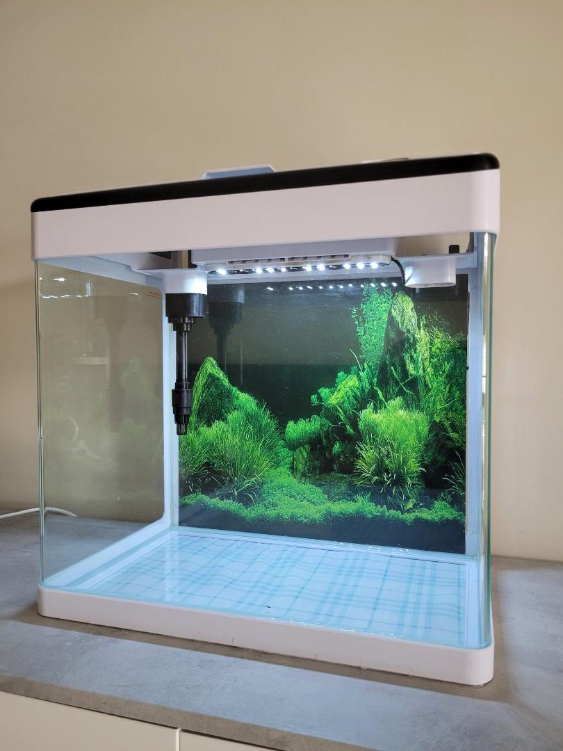 Fish Tank - All In One Set, Everything Else on Carousell